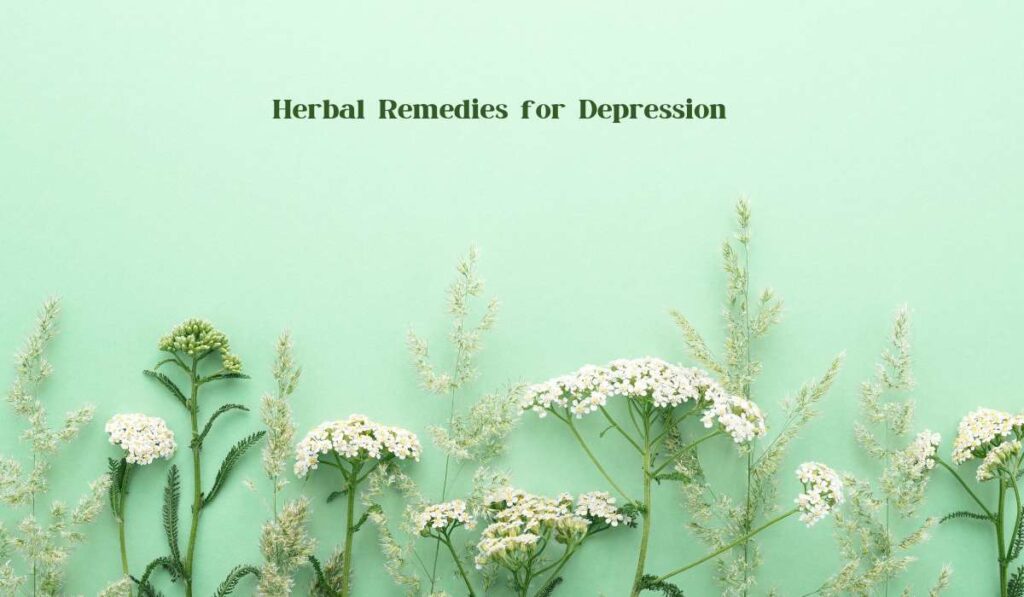 Herbal Remedies for Depression: Natural Ways to Lift Your Mood